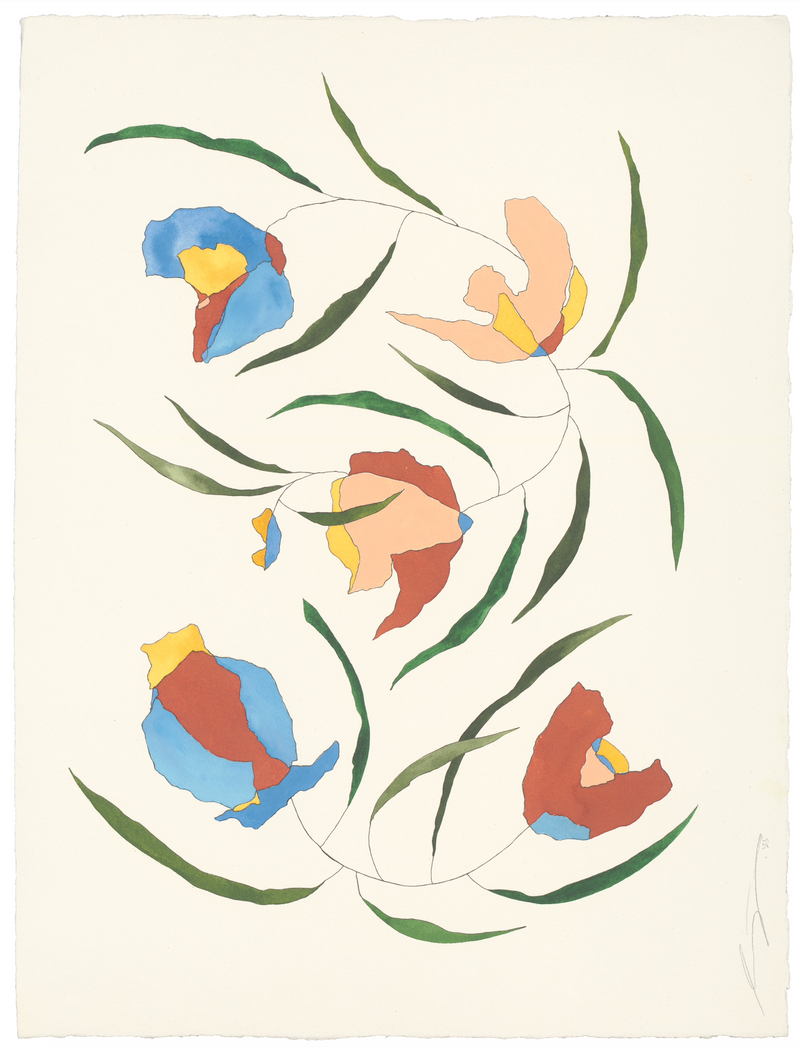 Print Shop - Well and Wonder